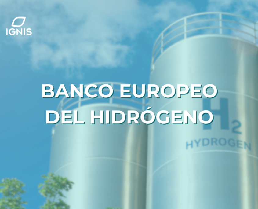 Ignis Group | Energy company| We manage the energy of the future